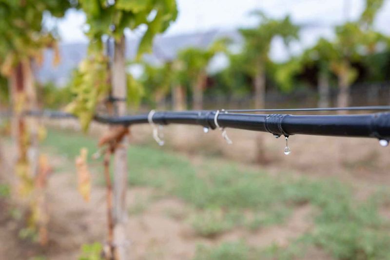 Agriculture Irrigation Solutions