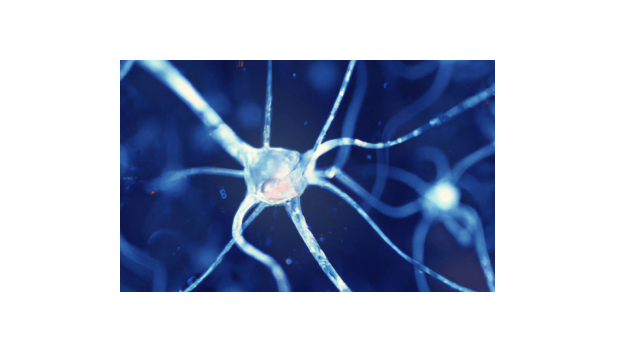 Longevitytech.fund | Portfolio