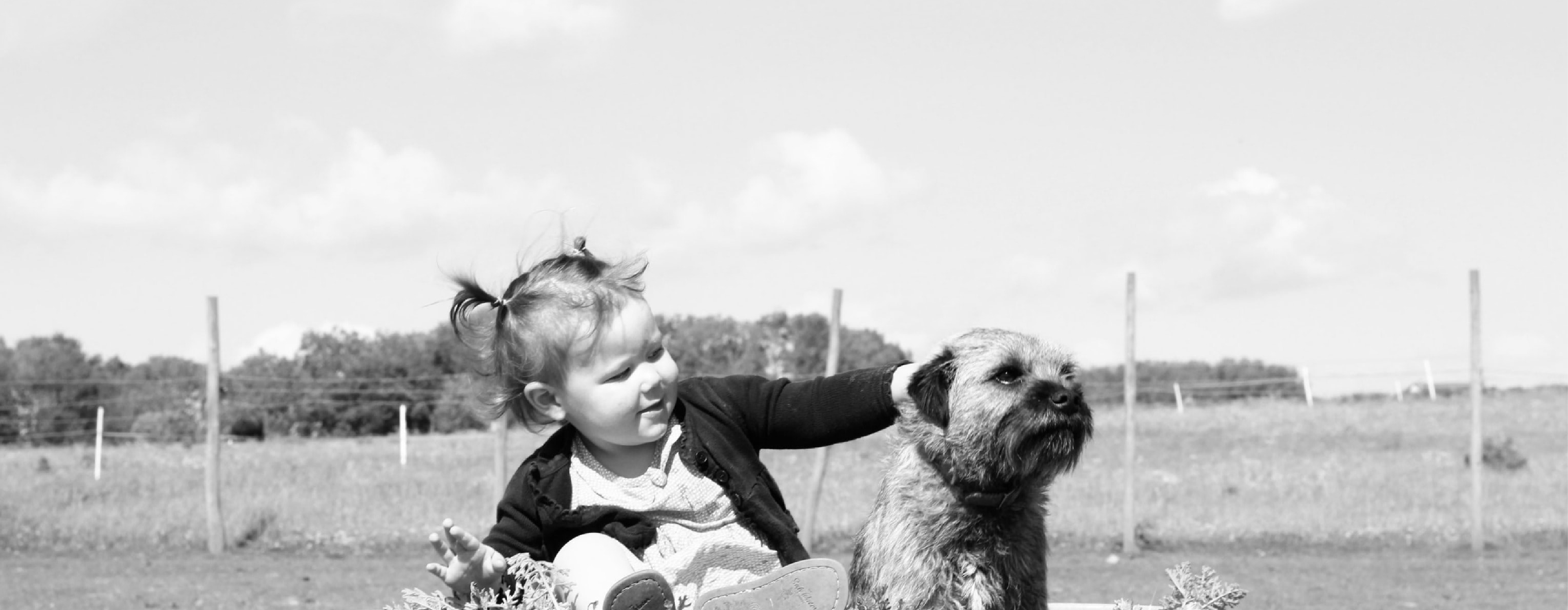 Children's Pet Guide: How To Choose And Introduce A Family Pet