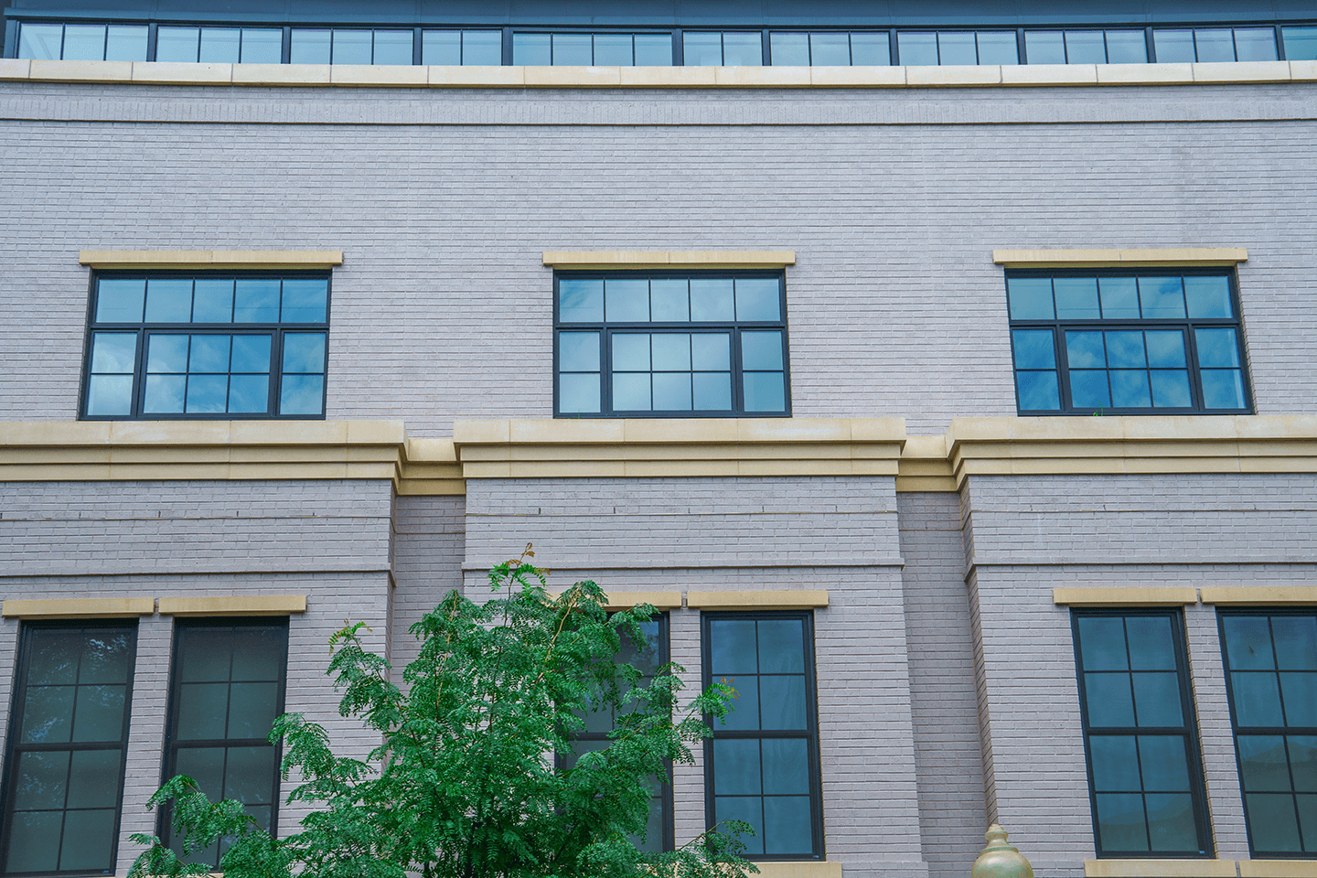 The Elliott | Merit Windows