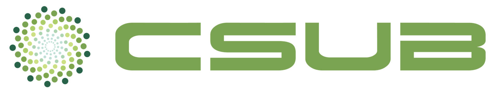 CSUB - A Leading Developer of Composite Solutions