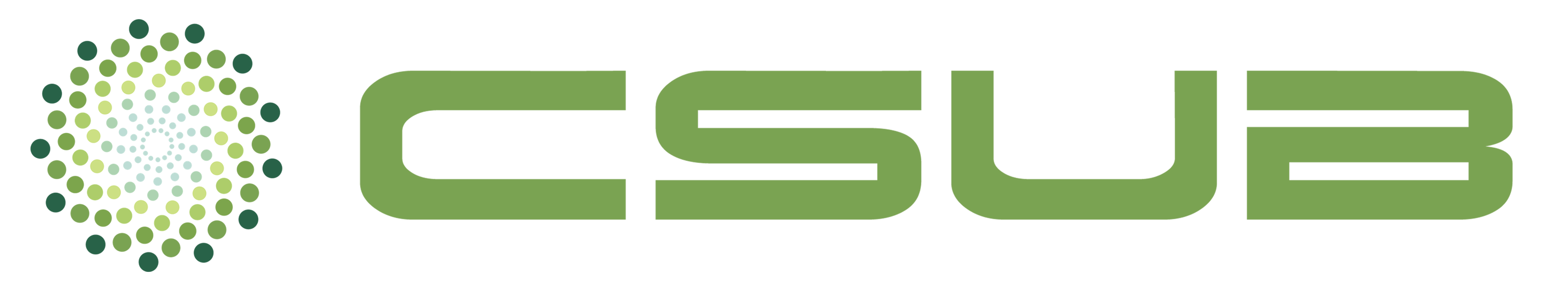 CSUB - A Leading Developer of Composite Solutions