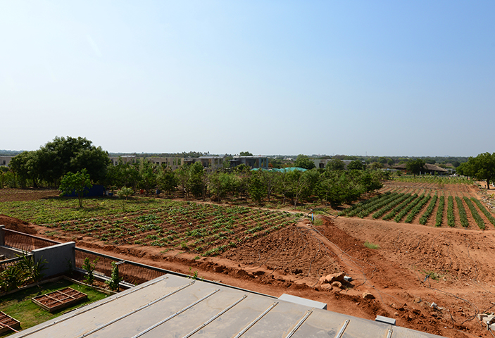 Organo Naandi - A way of life for the passionate and the conscious…