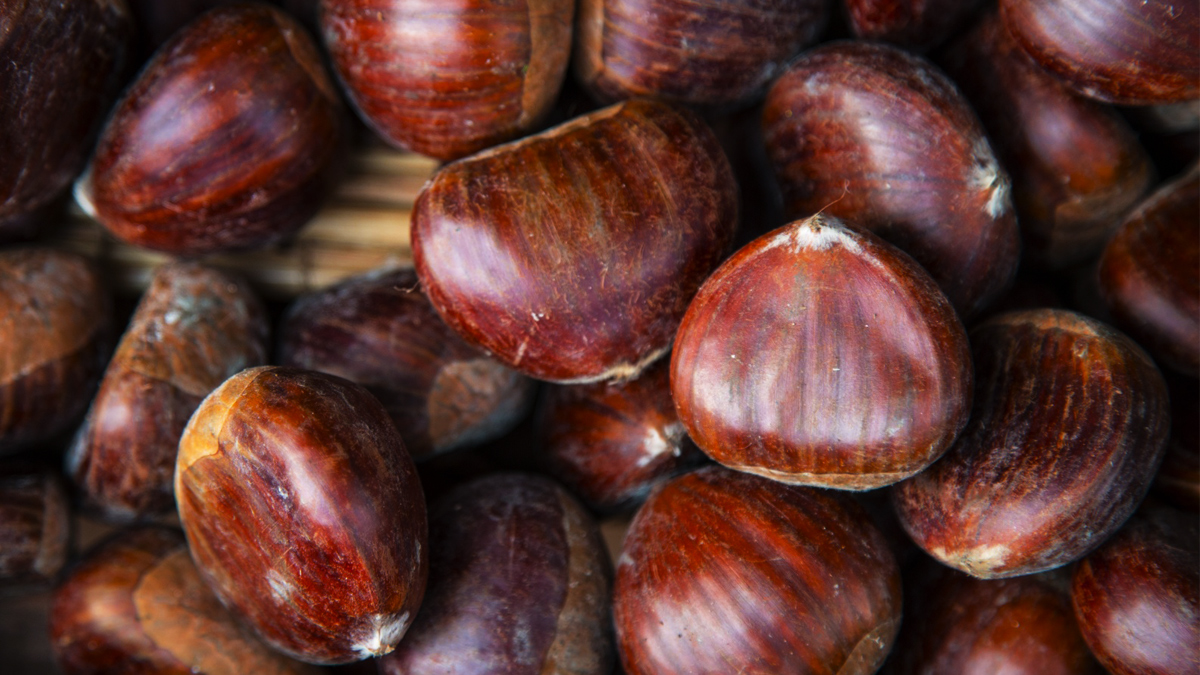 Terra e Gusto | Sua maestà la castagna