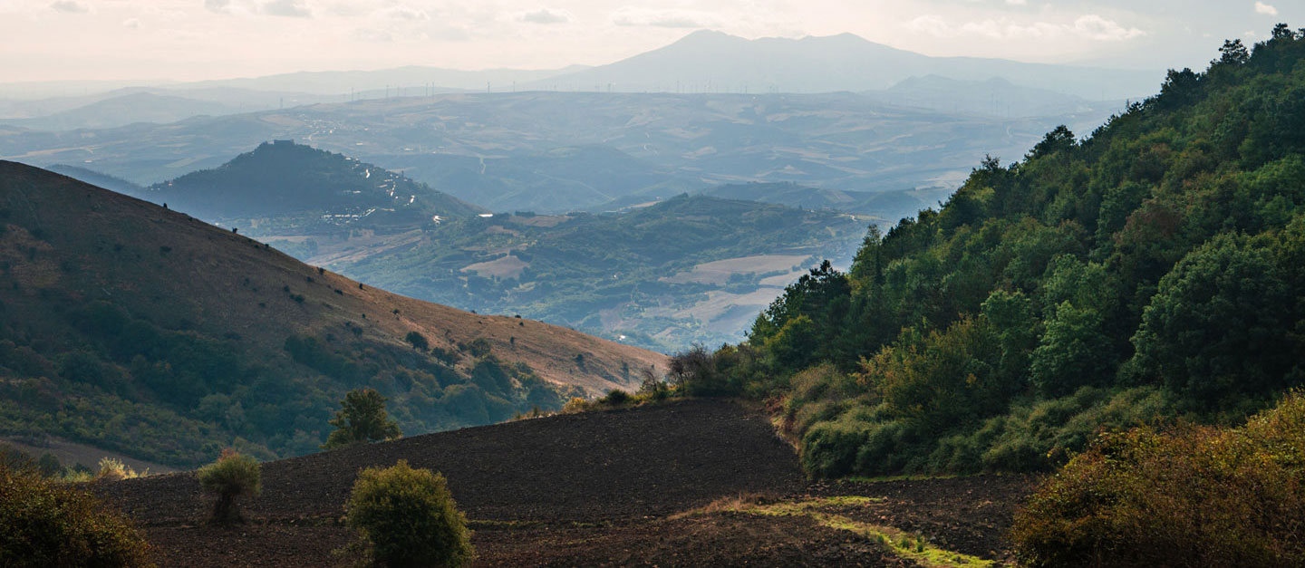 Panni > Sant'Agata di Puglia
