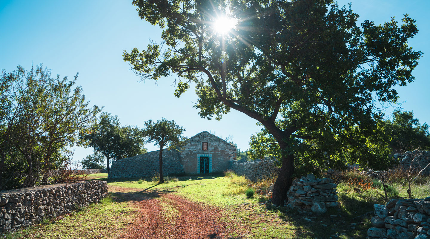 Ruvo di Puglia > Quasano