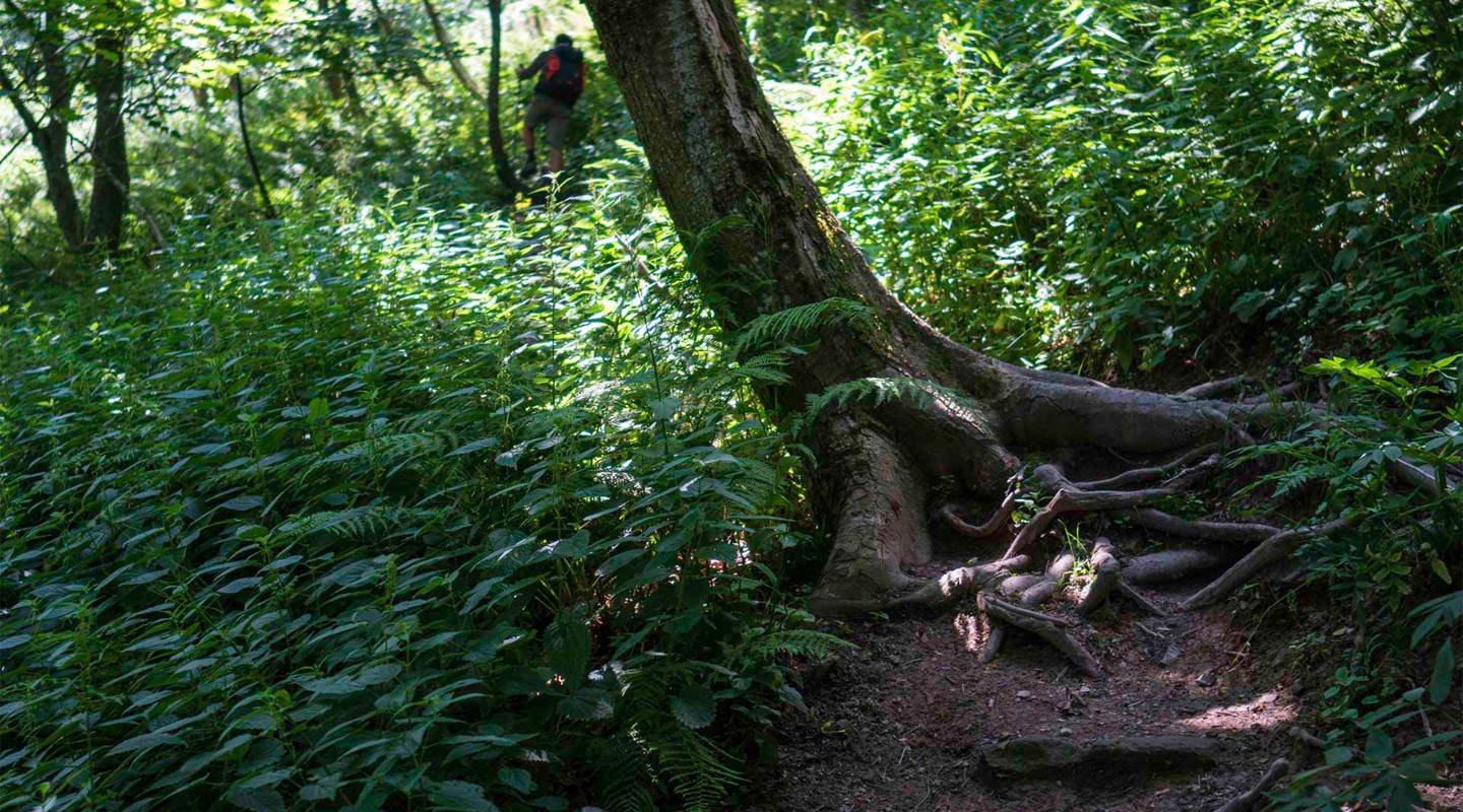 Capanna Como > Garzeno