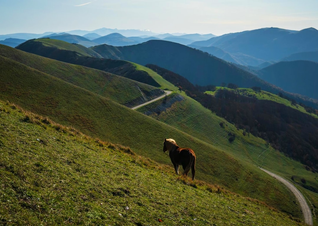 Great Italian Trail - Sentiero Italia
