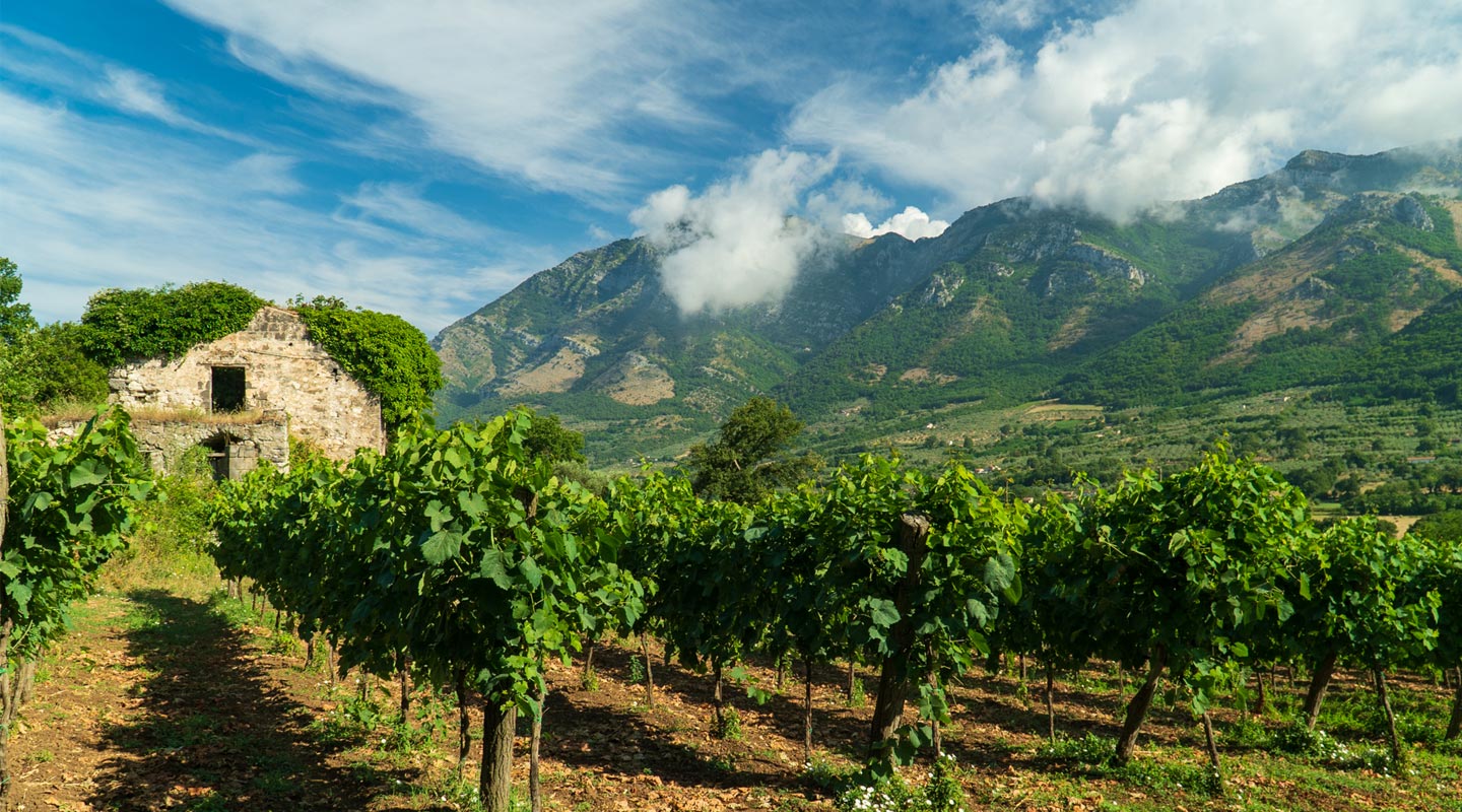 Faicchio > Telese Terme