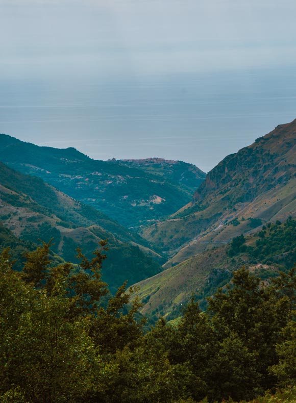 Passo della Crocetta > Casellone forestale di Monte Cocuzzo