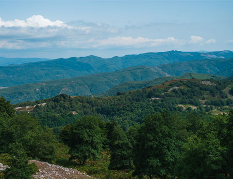 Passo della Crocetta > Casellone forestale di Monte Cocuzzo