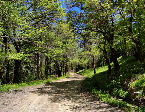 Portella dell'Obolo > Sella Contrastro
