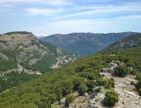 Hotel Scala San Giorgio (Osini) > Bosco Selene (Lanusei)