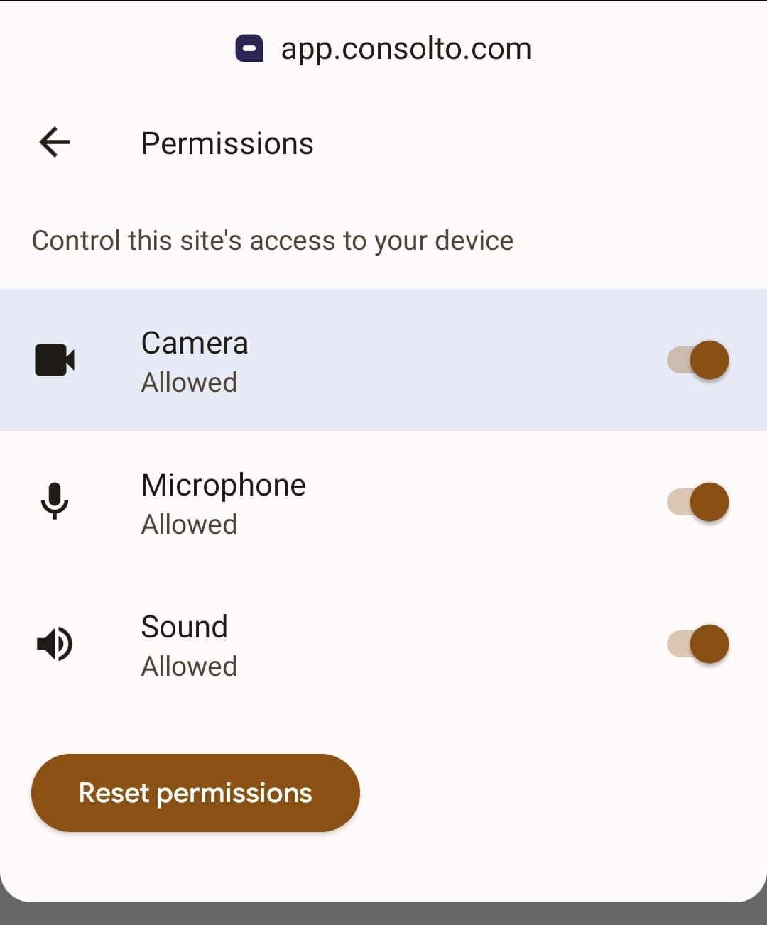 Consolto how-to:How to Grant Camera and Microphone Permissions for Website Video Calls With Consolto