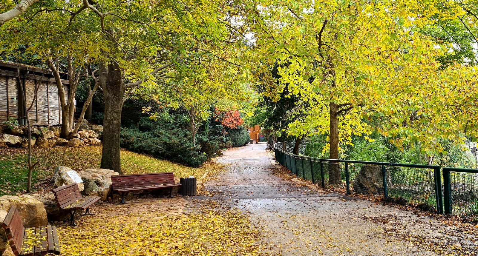 גן החיות התנ"כי דף הבית