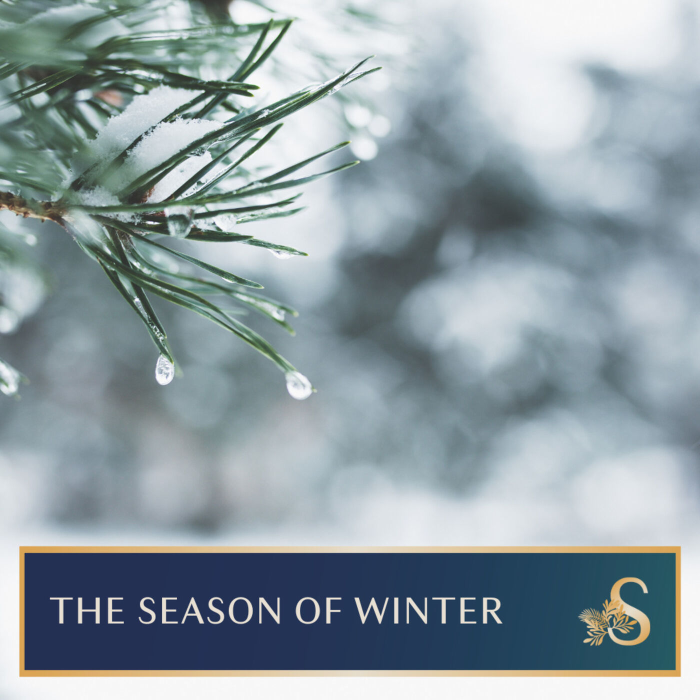 Seasons Leadership Podcast