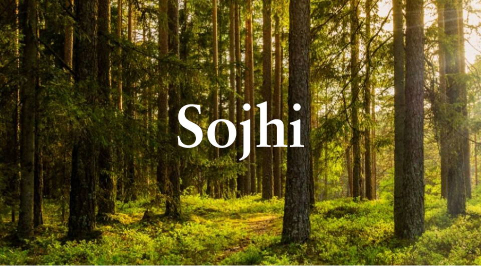 Sojhi - Curriculum & Resources for Sikh Children | Sikh Research ...