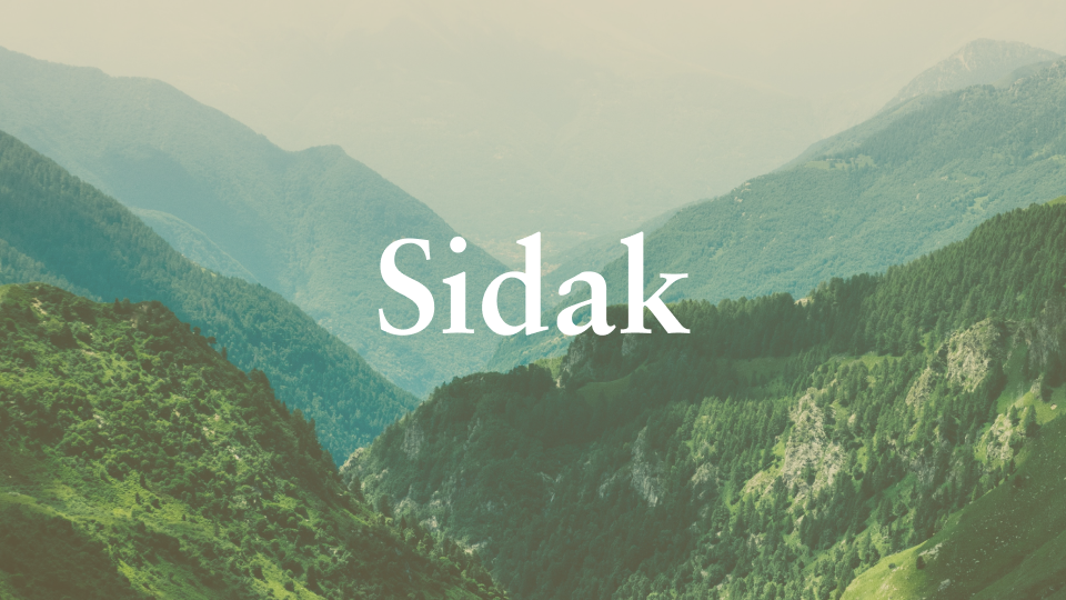 Sidak Leadership Development Program | Learn Sikh Culture & History