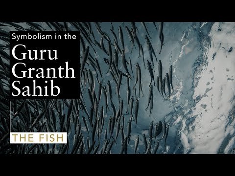 Symbolism in the Guru Granth Sahib: The Fish | SikhRI Videos