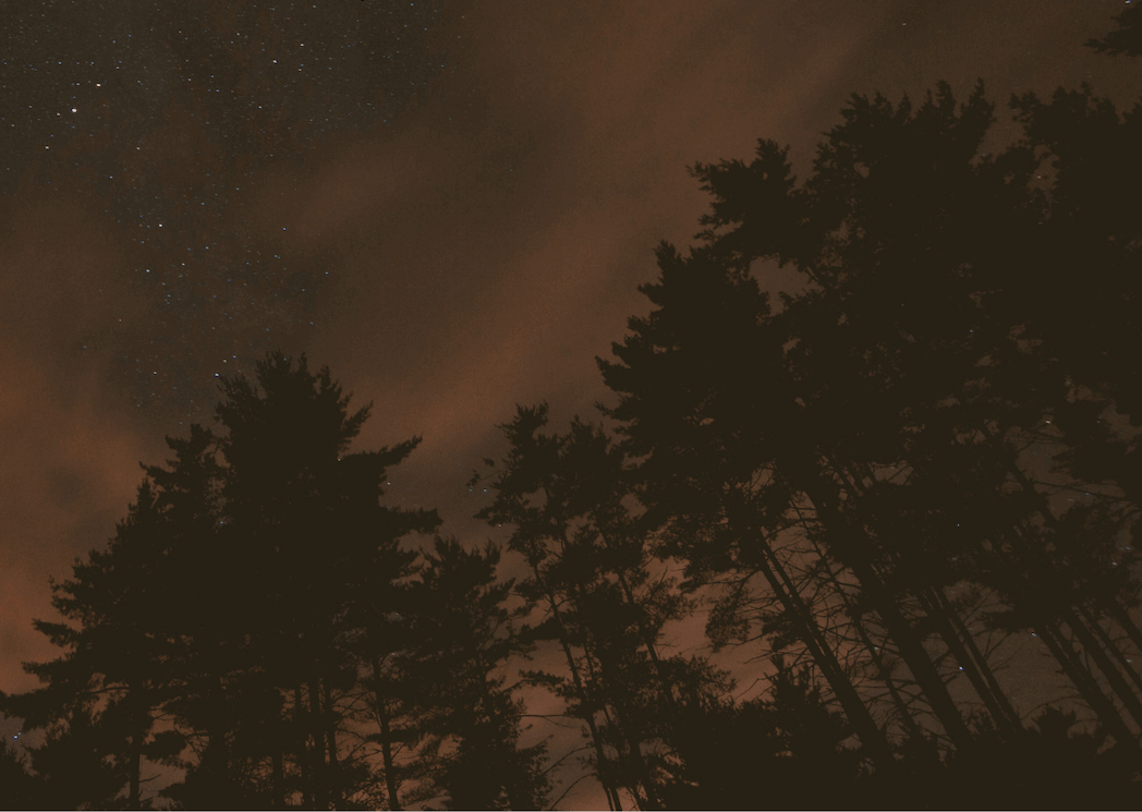 Sikh Legacy: Remembering Vadda Ghallughara | Sikh Research Institute