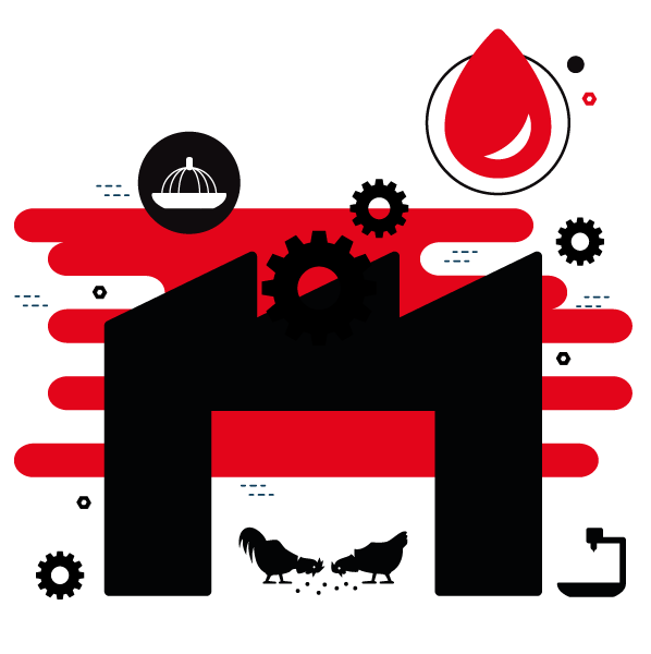 CES | Climatec Equipment Services | Poultry & Pig Feeding & Drinking ...