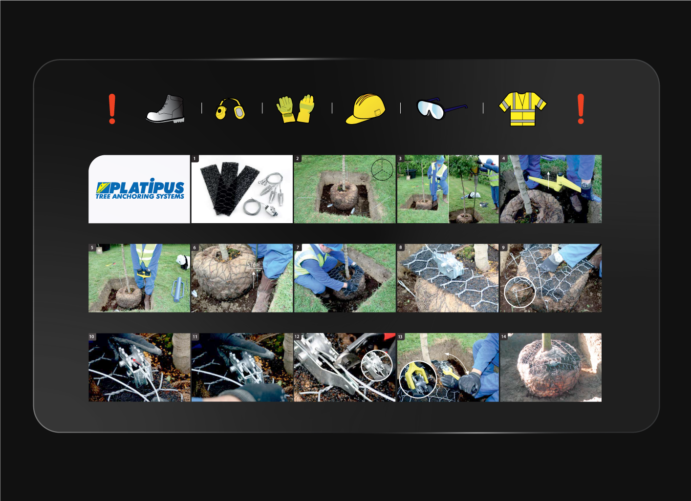 Paltipus Tree Anchoring System - d.one