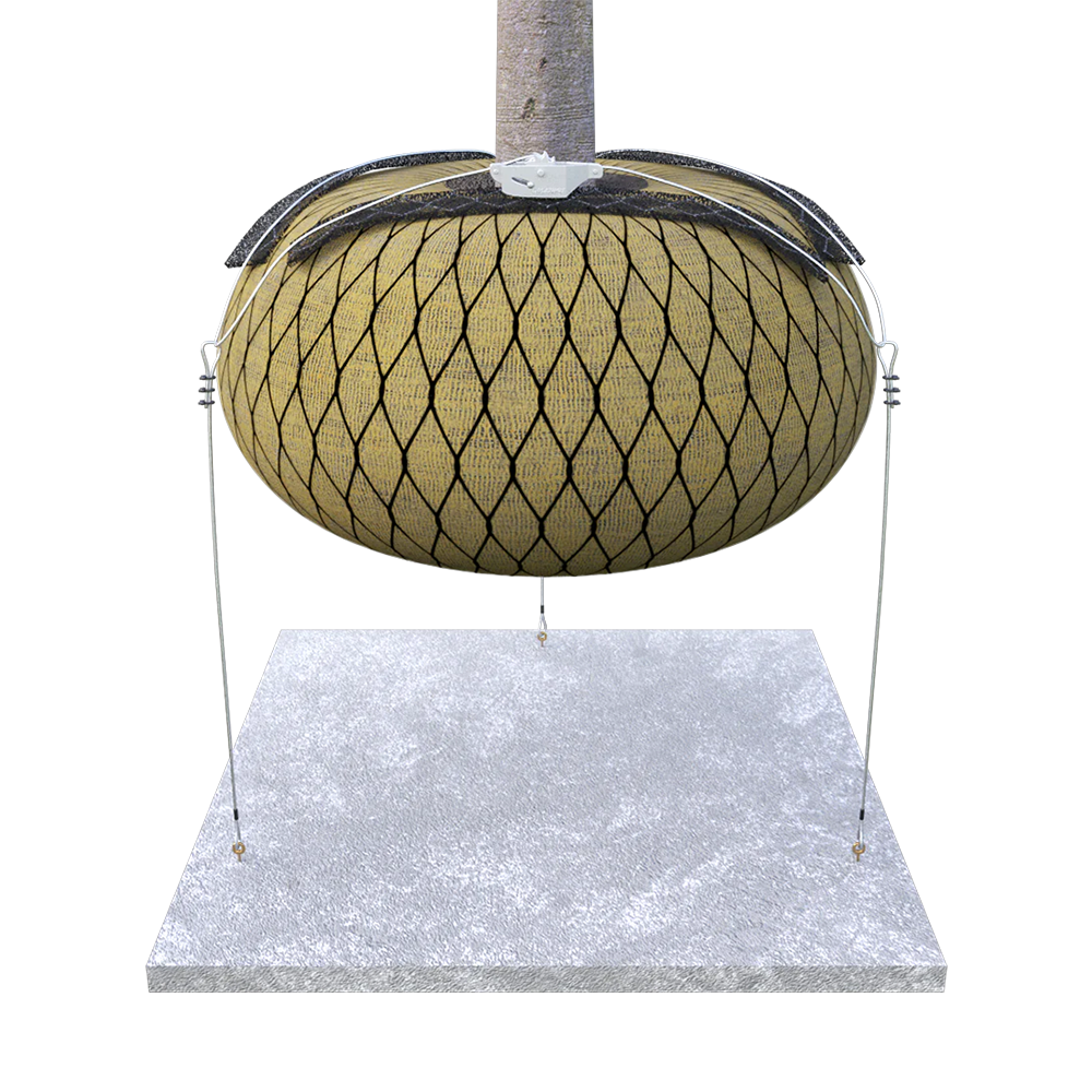 Paltipus Tree Anchoring System - d.one