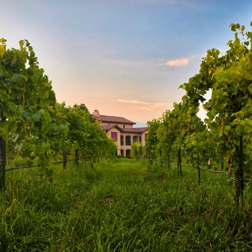 40+ Kansas City Wineries | Kansas City Wine Road