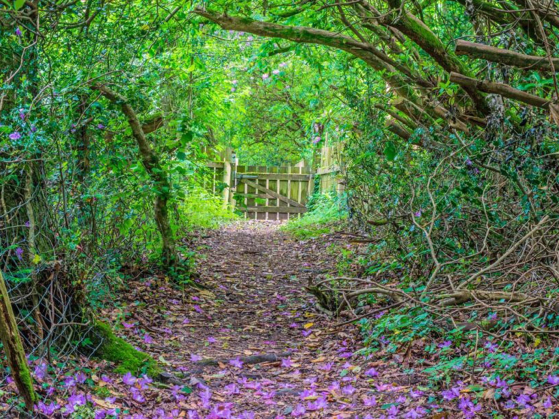 Visit Bridgend | Bryngarw Country Park