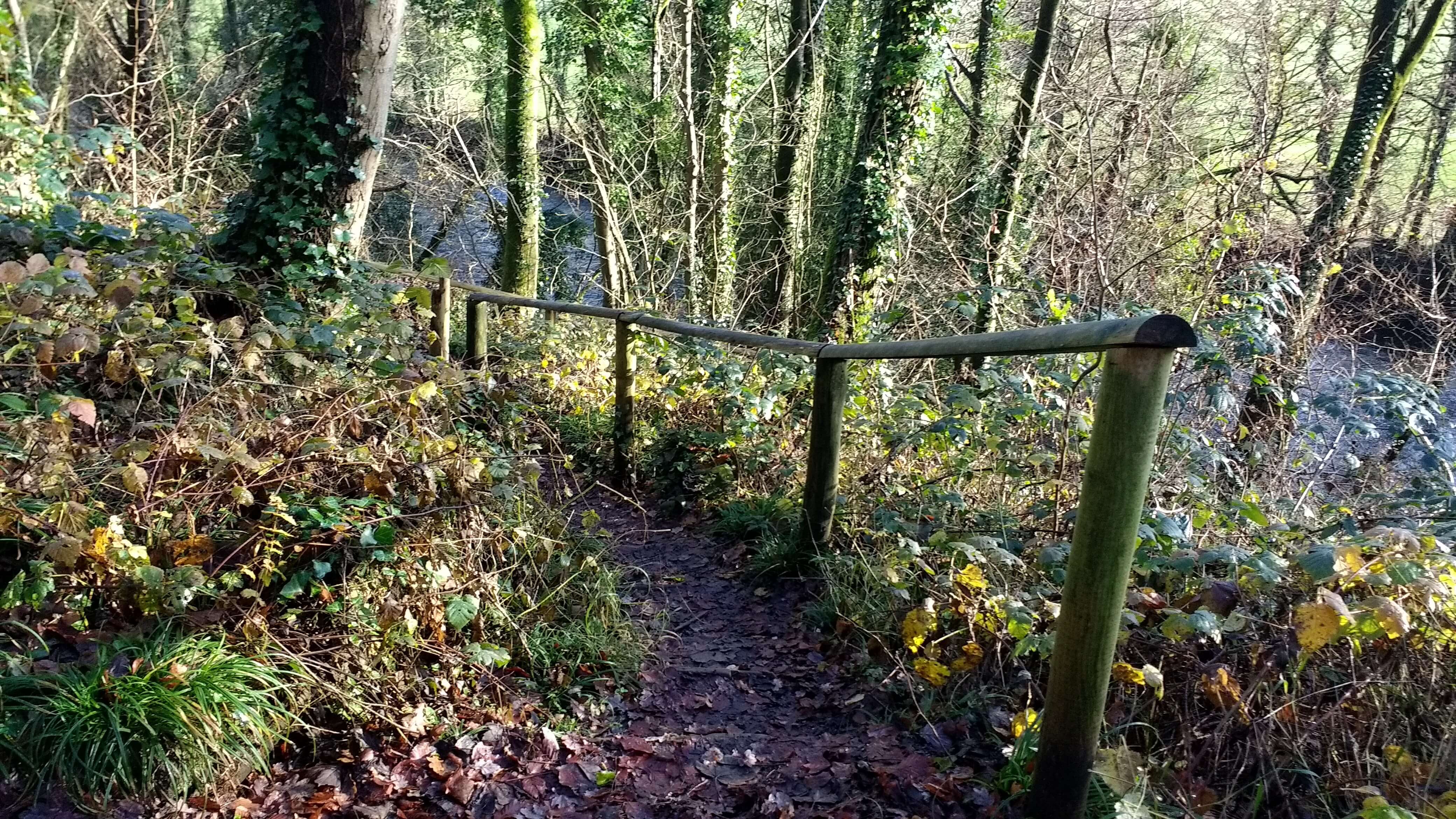 Visit Bridgend | Craig y Parcau Local Nature Reserve