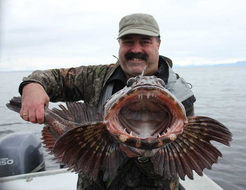 Fish for Halibut, Cod, Salmon, & More in Alaska | Pybus Point Lodge