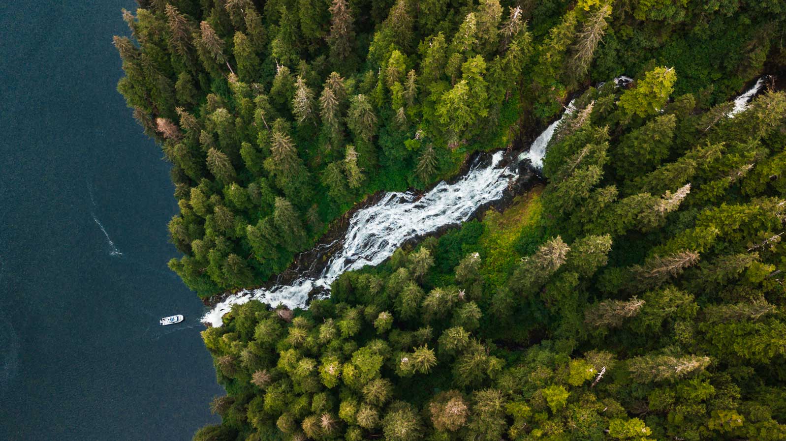 Full-Time Alaskan Vacation Guide | Pybus Point Lodge