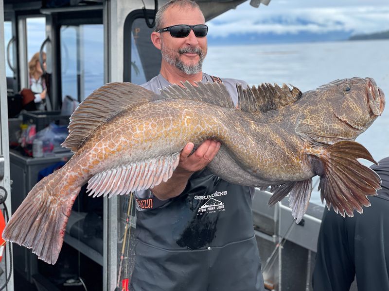 Fish for Halibut, Cod, Salmon, & More in Alaska | Pybus Point Lodge