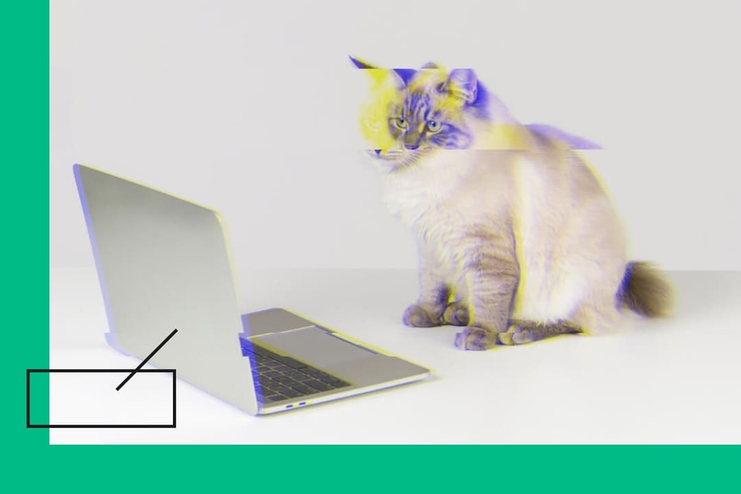 Best practices: Why use Golang for your project | Uptech