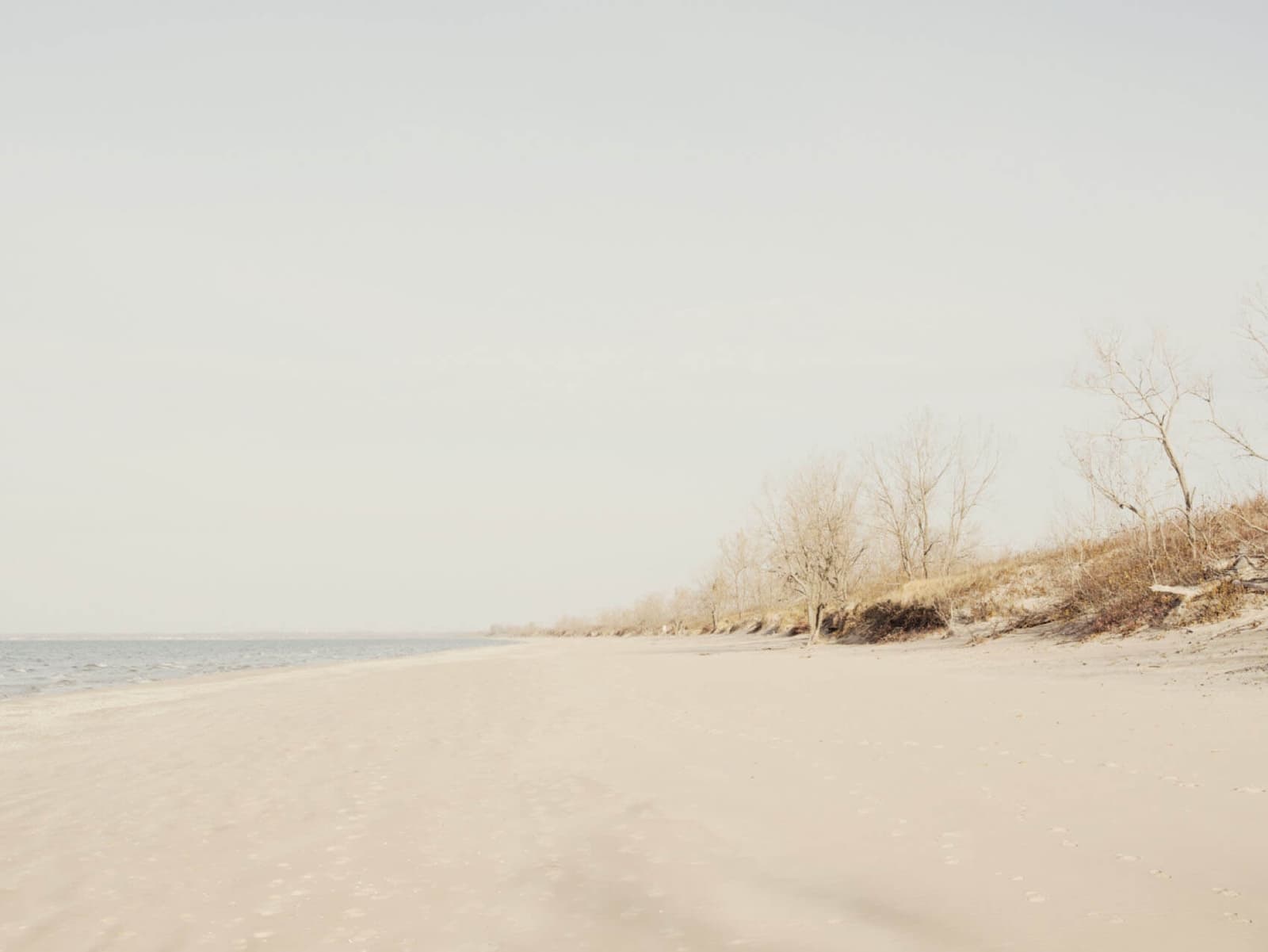 Wander The Resort - The Way to Wander