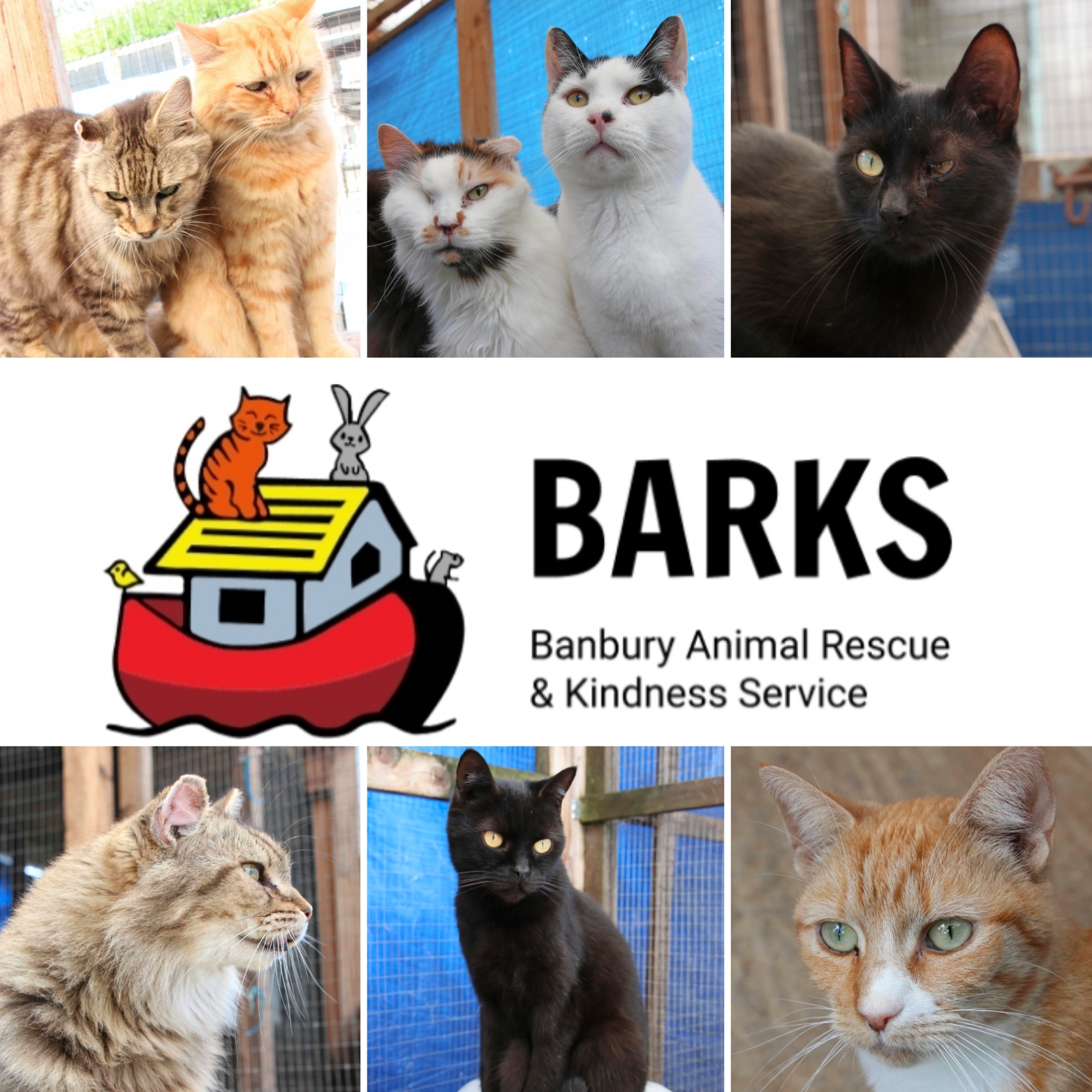 BARKS News & Events: Please sign up to support BARKS with Easyfundraising
