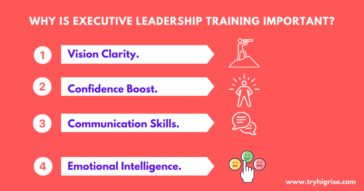 Leadership Training for Executives: A Guide for Senior Leaders. - Highrise