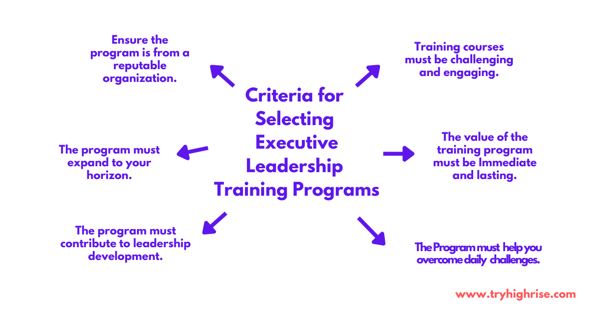 Leadership Training for Executives: A Guide for Senior Leaders. - Highrise