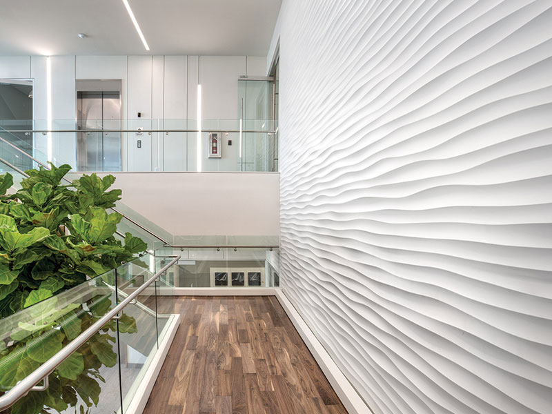 IP Collective | Soelberg Industries