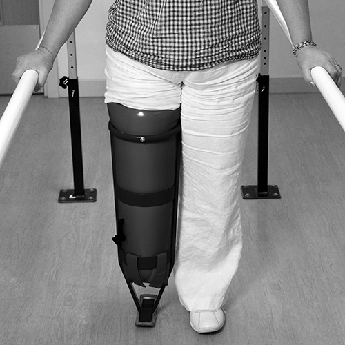 PPAM Aid | Ortho Europe | Rehabilitation