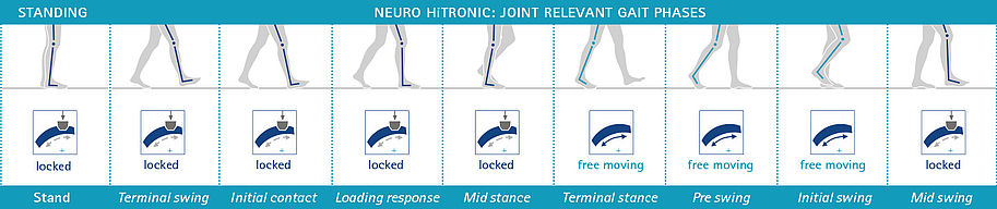 Neuro HiTronic | Fior & Gentz | Knee Joints