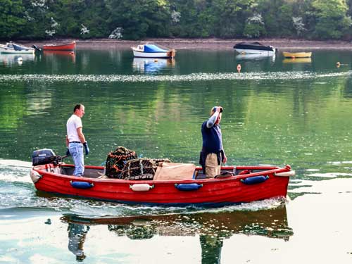 About the Crab Shed Salcombe
