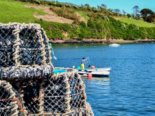About the Crab Shed Salcombe