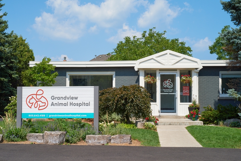 Grandview Animal Hospital in Stoney Creek