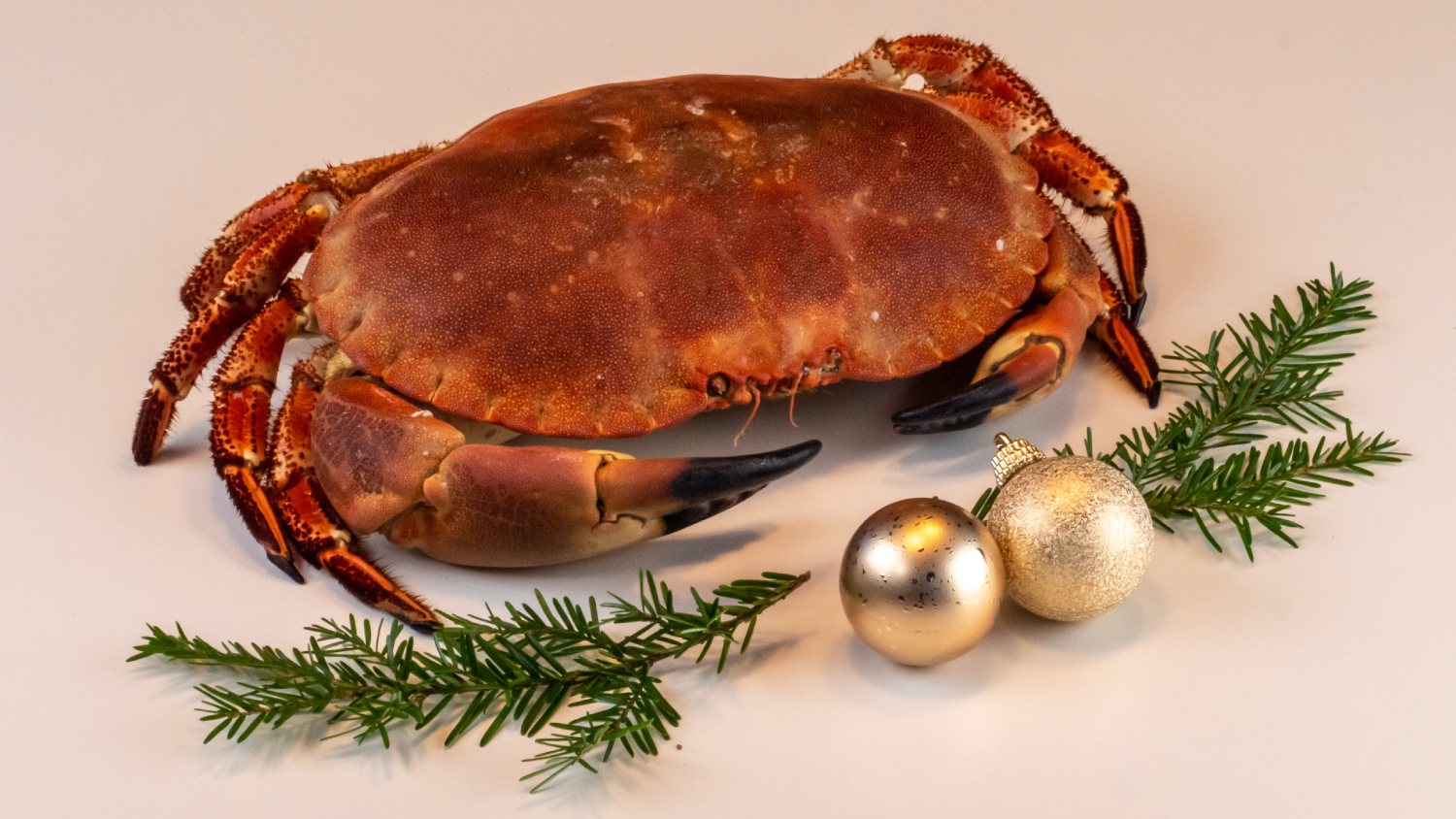 Crab Chat: Delicious Devon Delights
