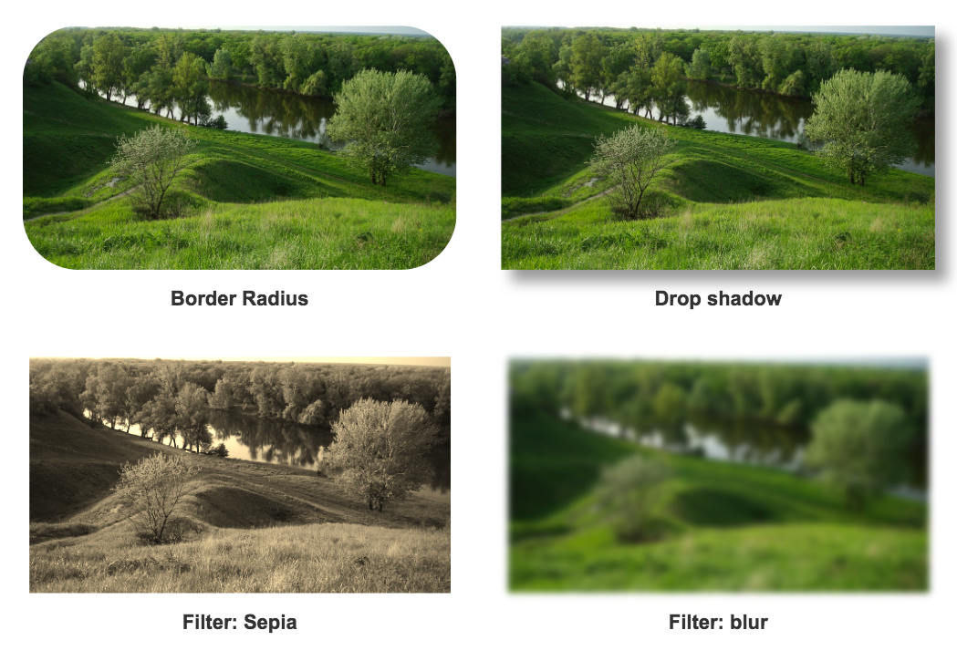 Image | Webflow University