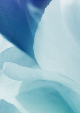 Diagnostic – Specular Microscope: REM 4000