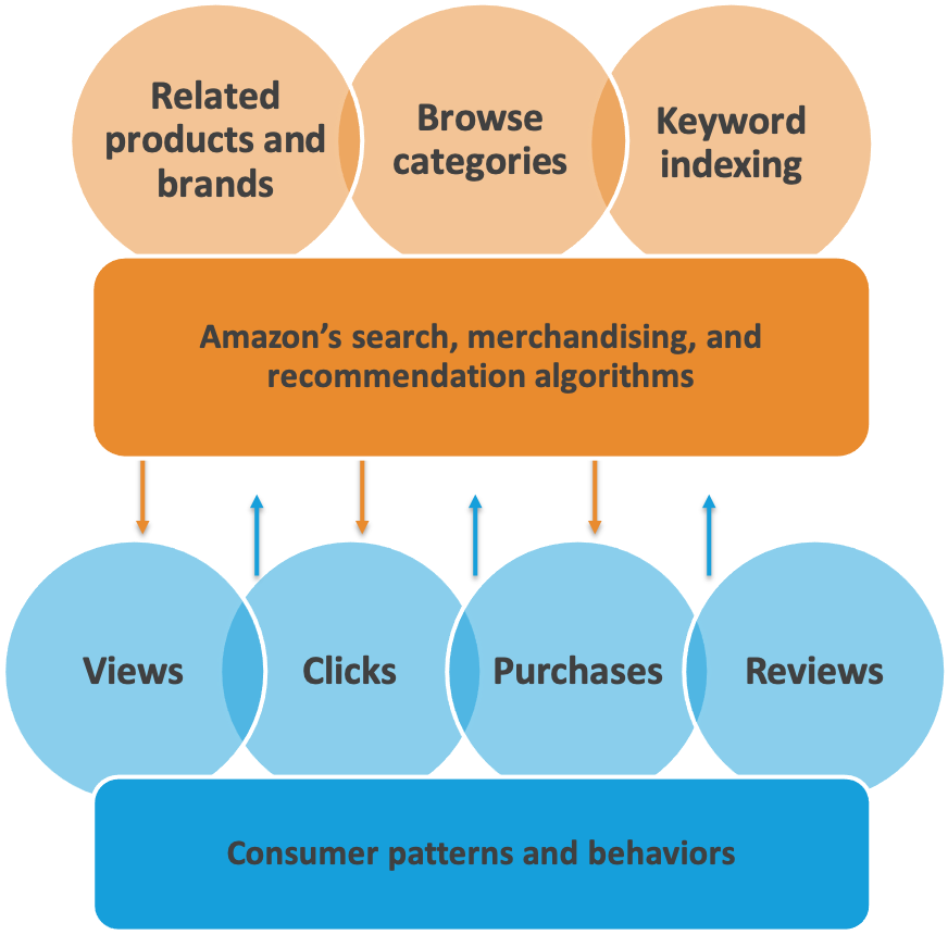 How Book Publishers Can Balance Paid and Organic Efforts on Amazon