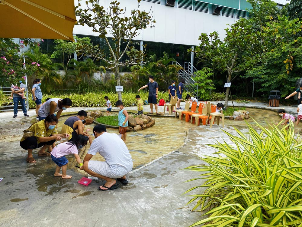 ORTO - A multi-activity recreational park with activities such as ...