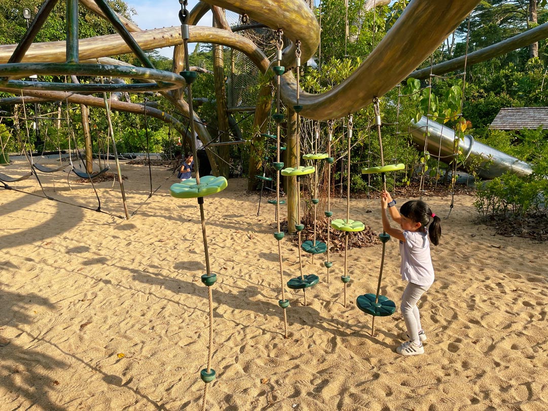 🌳Como Adventure Grove Playground: Singapore Botanic Gardens